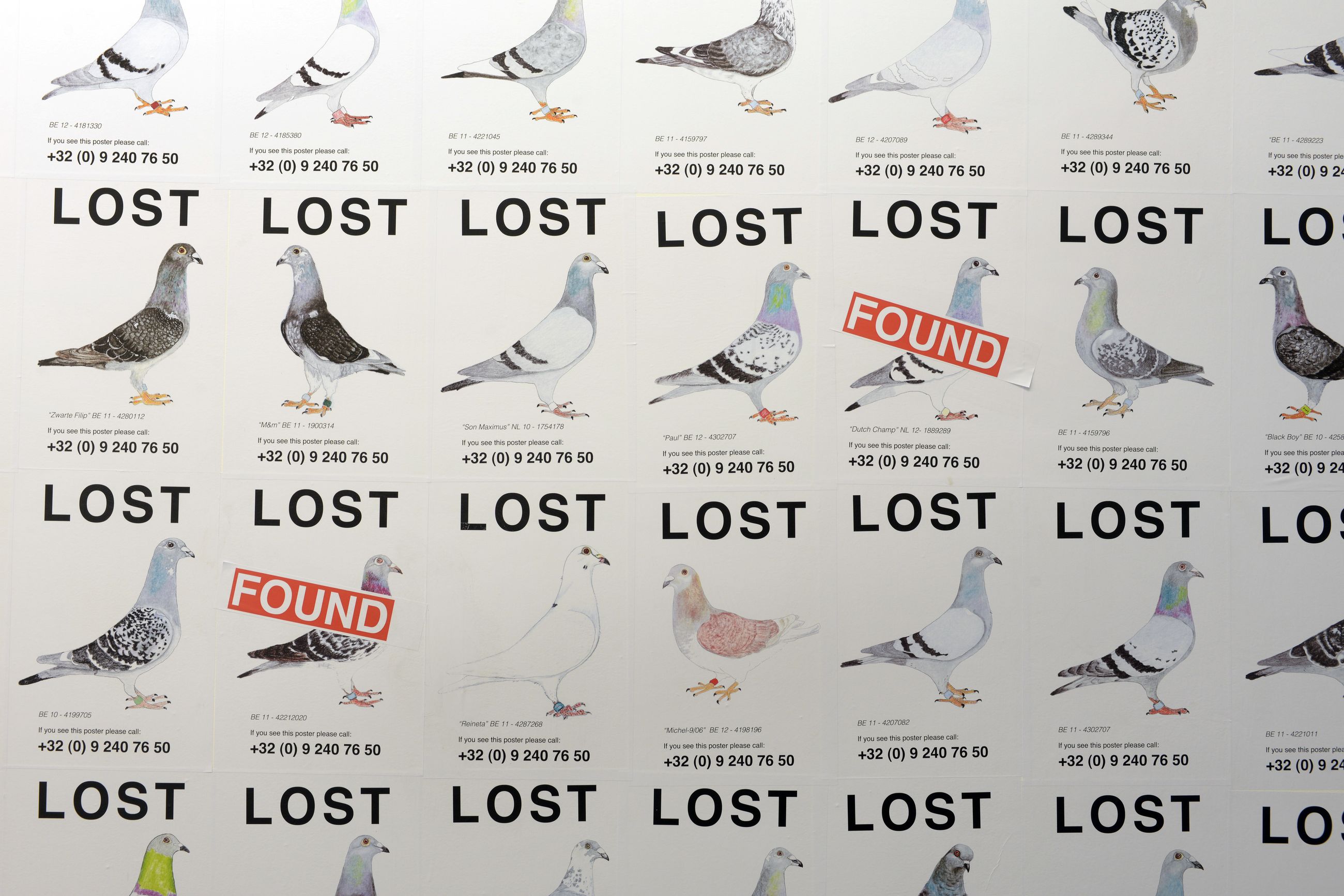 Kunsthal Aarhus: Pilvi Takala: Lost Pigeons