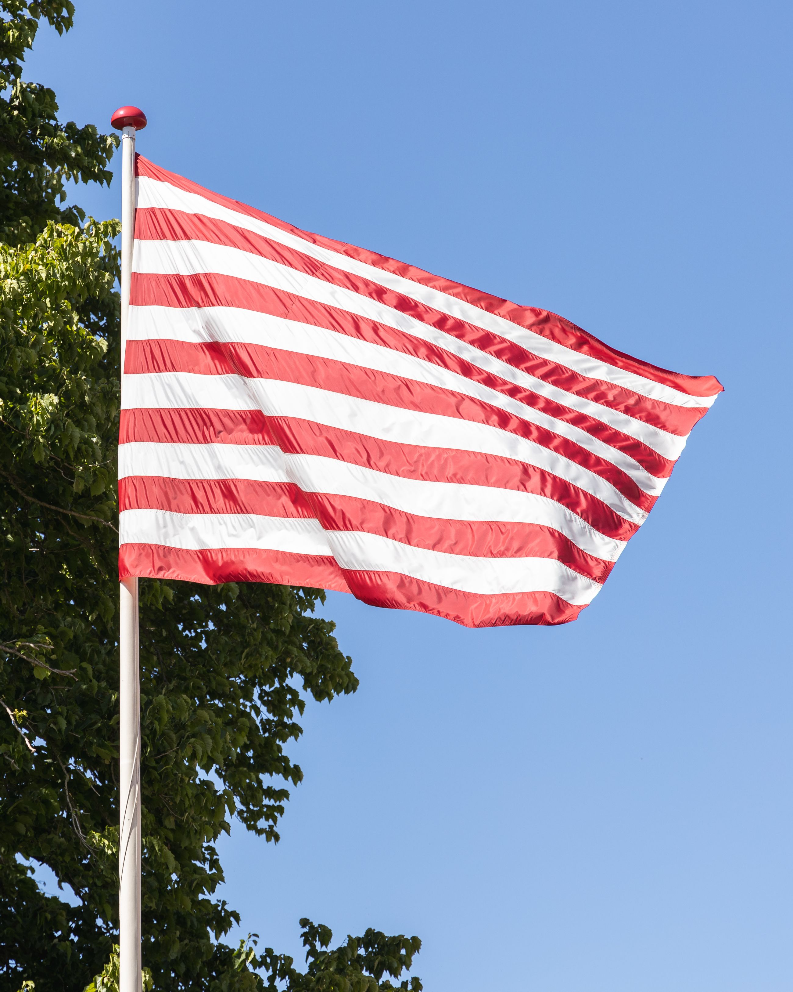 Kunsthal Aarhus: Flaget